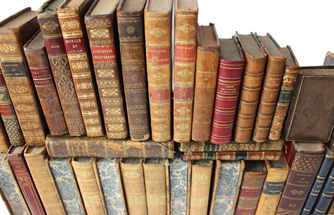 Antique French Book | 19th Century Leather Binding, Gilt Spine - Etsy