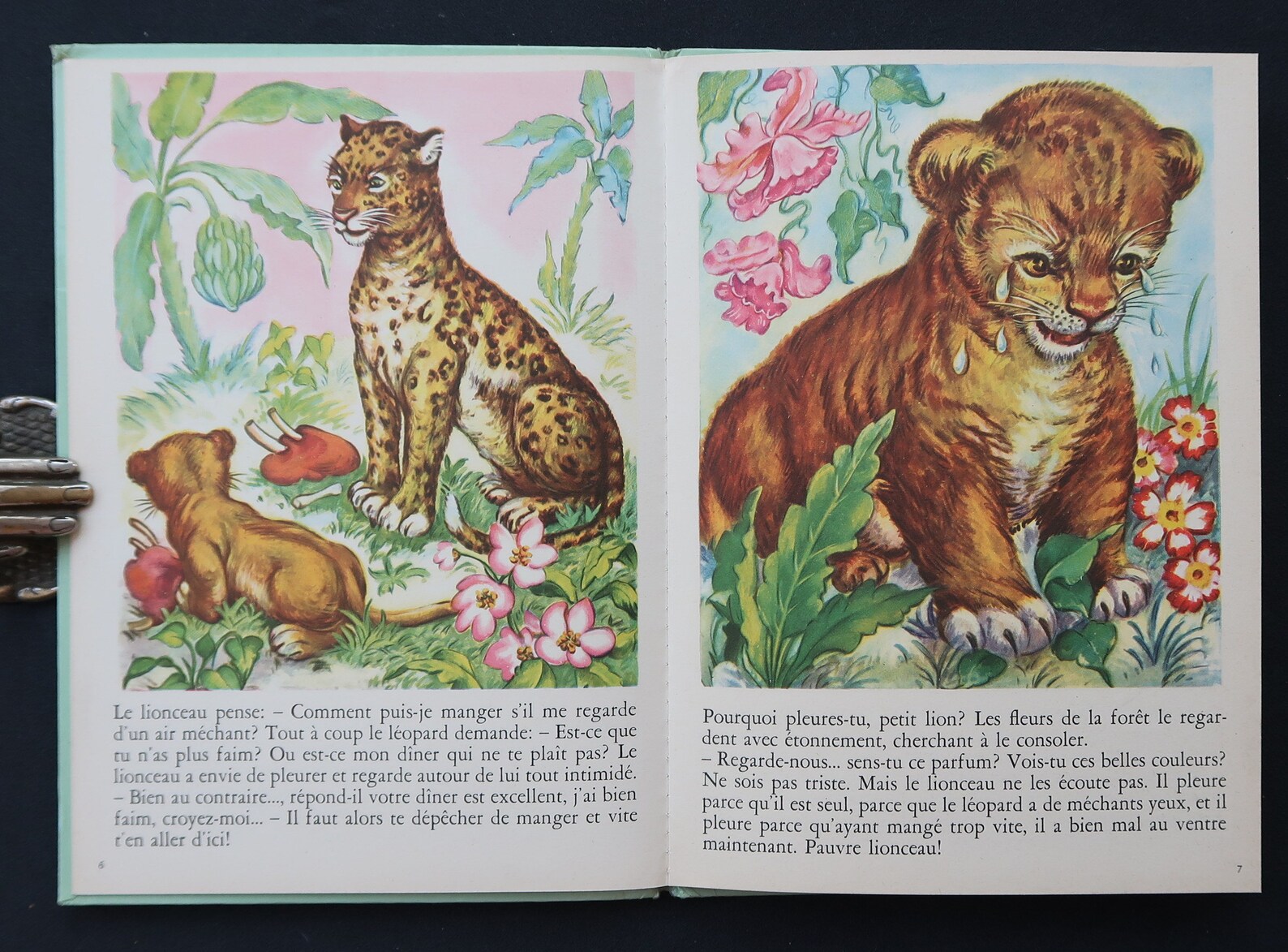 1958 the Adventures of a Lion Cub Vintage Children's Book - Etsy
