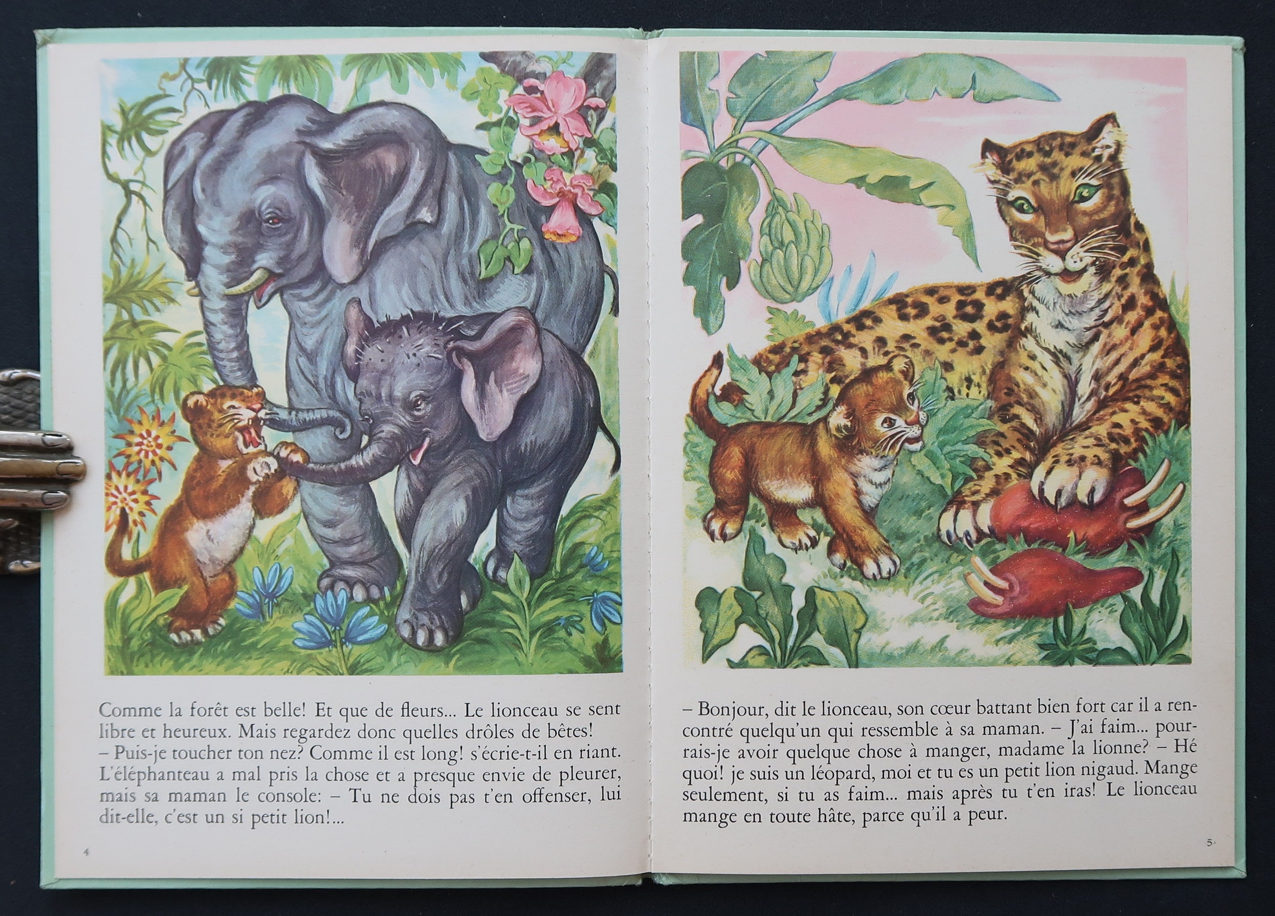 1958 the Adventures of a Lion Cub Vintage Children's Book - Etsy