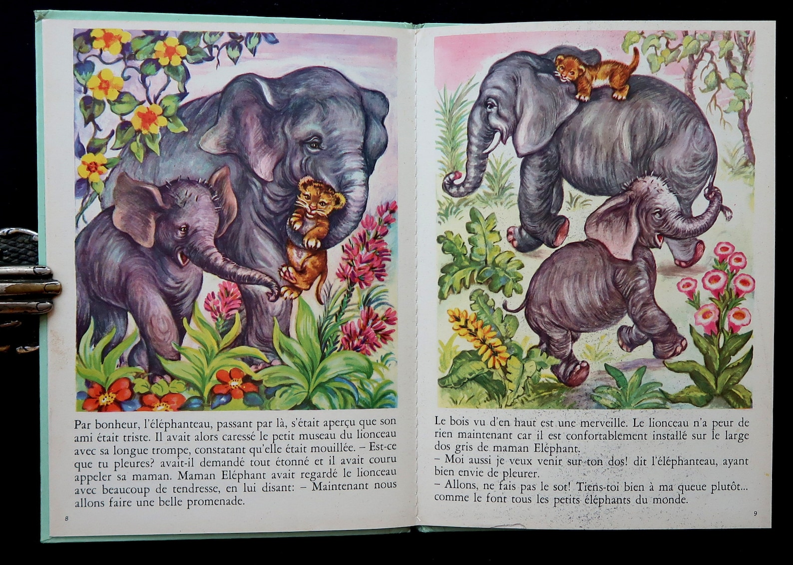 1958 the Adventures of a Lion Cub Vintage Children's Book - Etsy