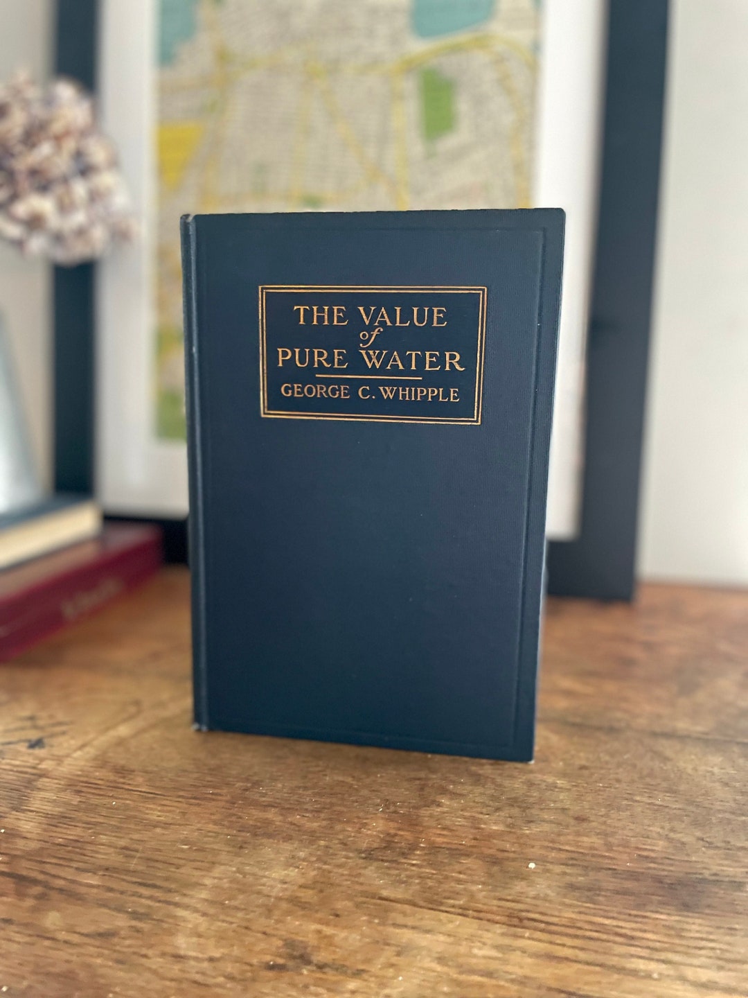 The Value of Pure Water by George C. Whipple - First Edition First ...