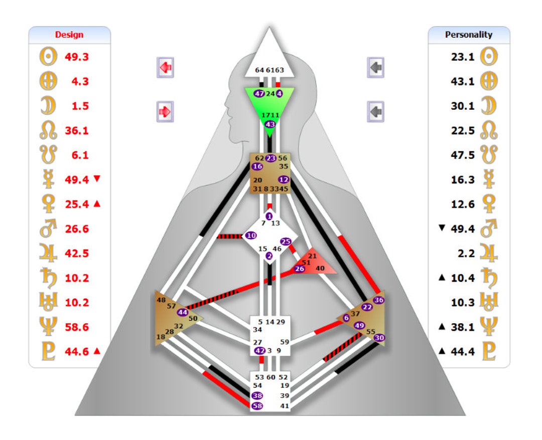Human Design bodygraph Chart Reading full/detailed - Etsy