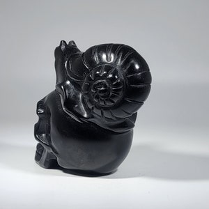 Obsidian Skull With Snail Carving - Etsy