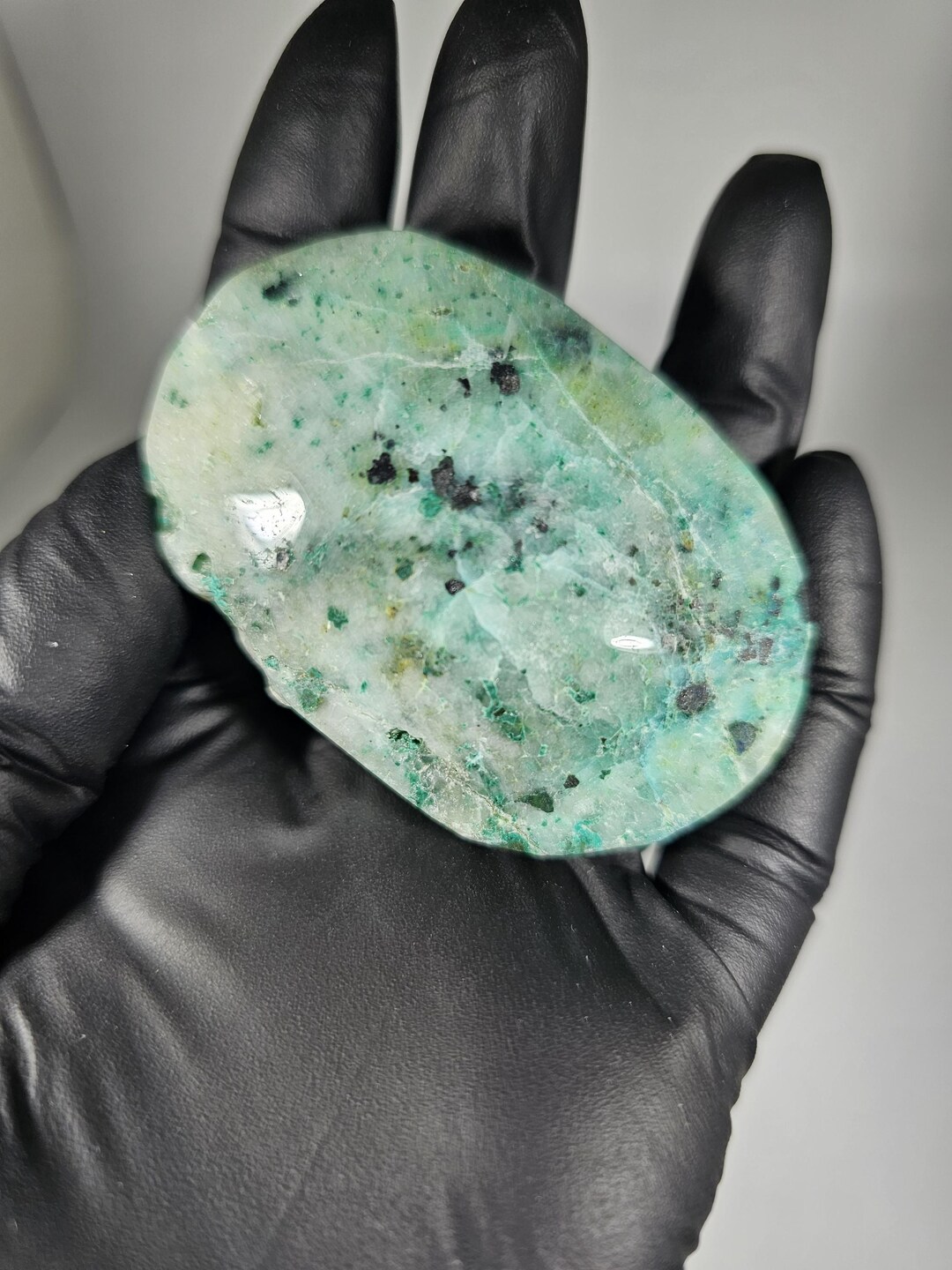 Phoenix Stone Palm Stone - Etsy