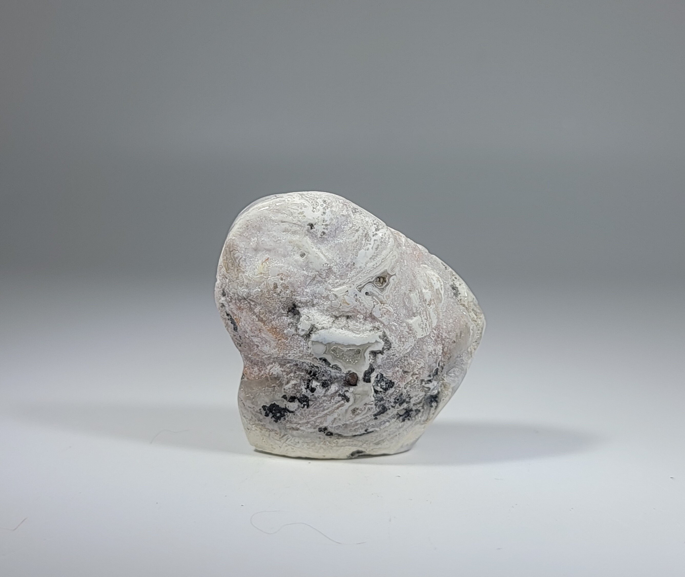 White Mexican Crazy Lace Agate Pet Rock Carving Hedgehog - Etsy