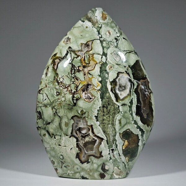 Jasper Rainforest - Etsy