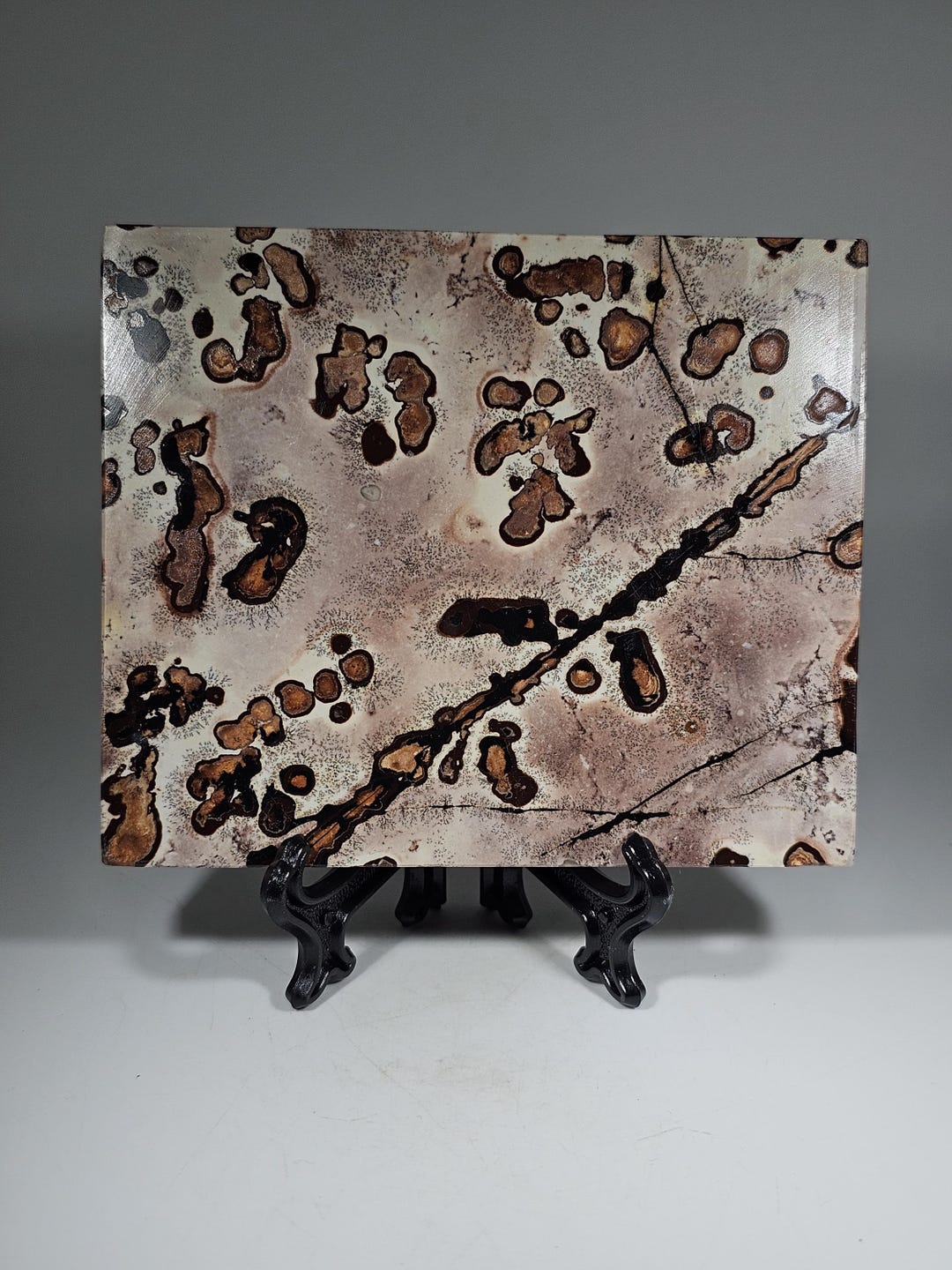 Picture Jasper Slab - Etsy