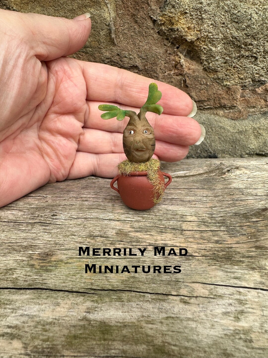 Mandrake Plant 1:12th Scale Dolls House Miniature Witch Wizard - Etsy
