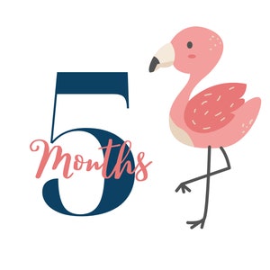 Baby Girl Monthly Milestones Flamingo Digital Download - Etsy
