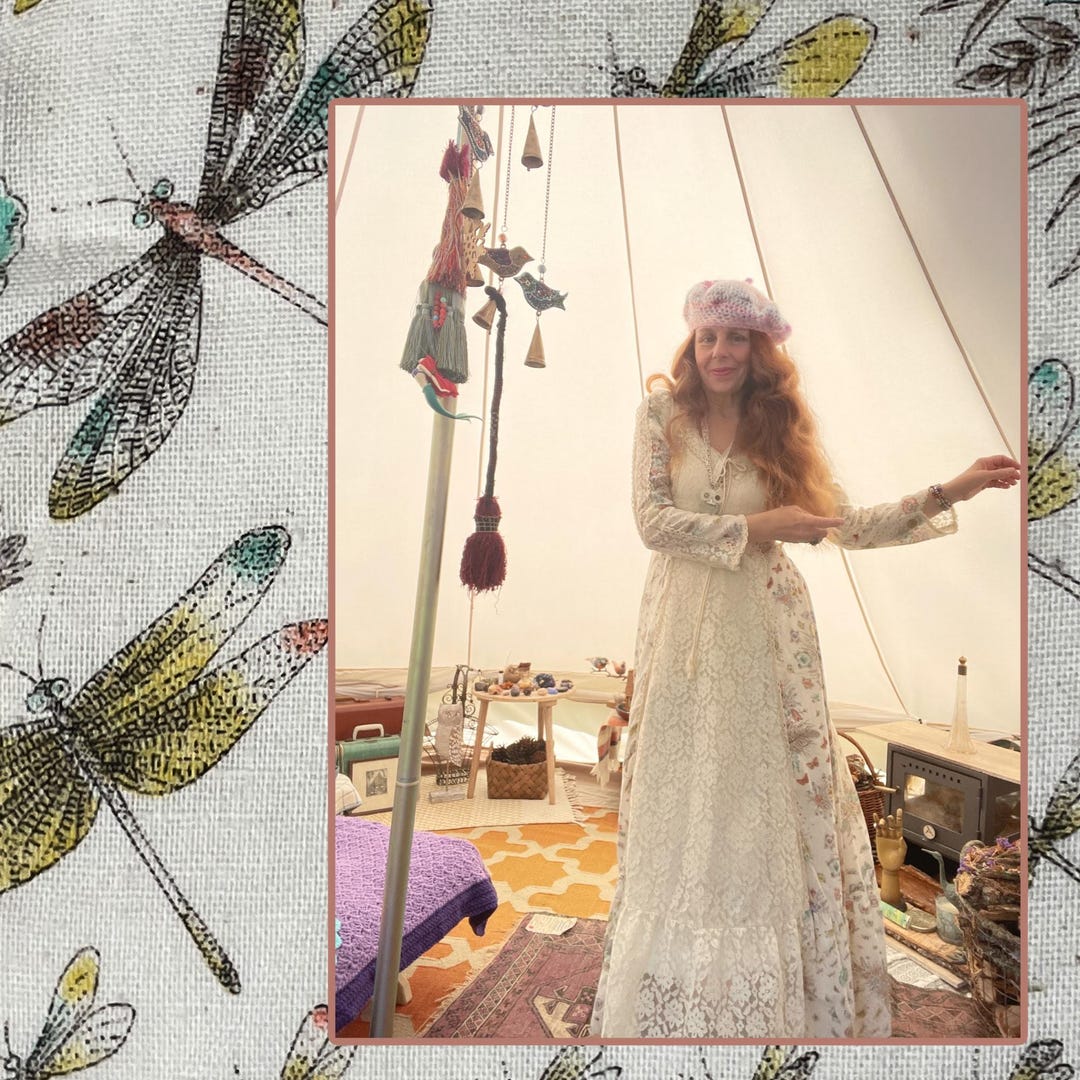 Iconic Dragonfly Princess Insect Print Corset Hippie Bohemian Maxi ...