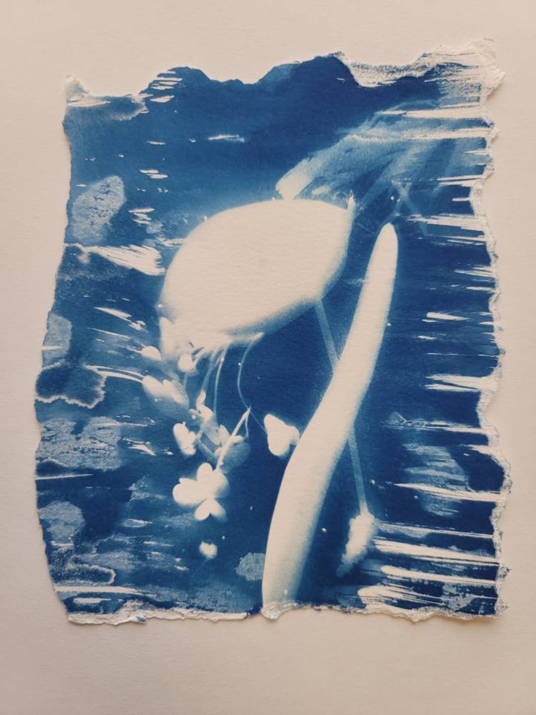 Nature Cyanotypes - Etsy