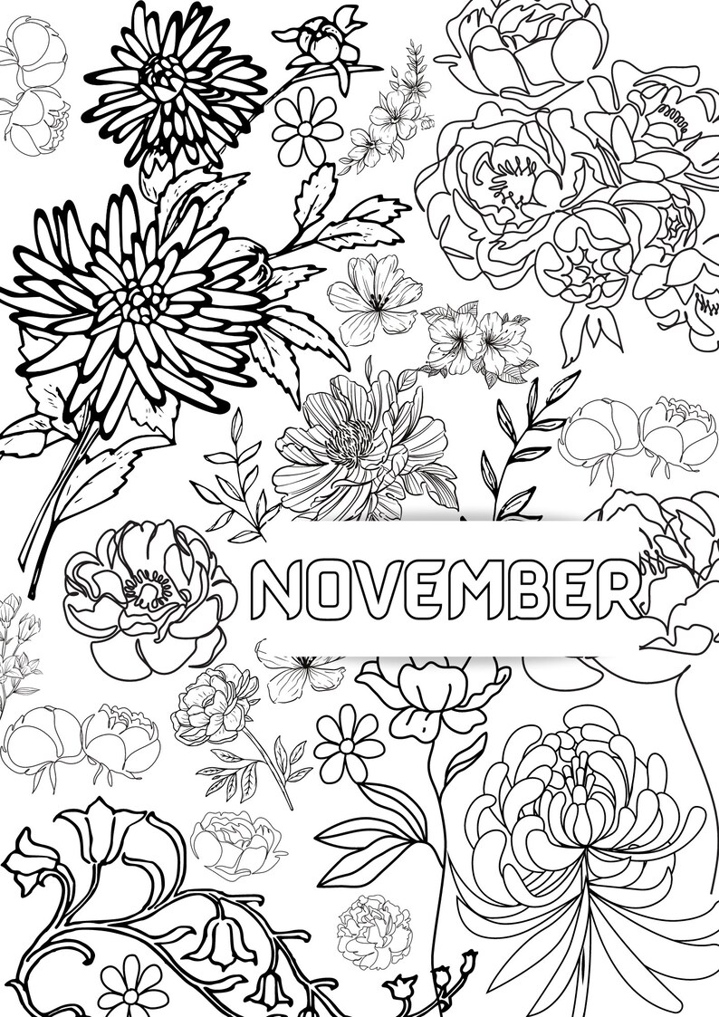 November Birth Flower Coloring Page Printable Coloring Page - Etsy