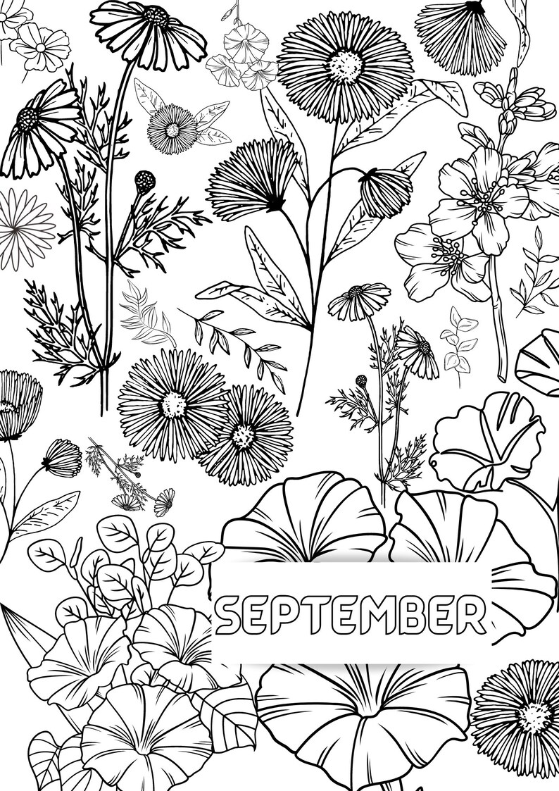 September Birth Flower Coloring Page Printable Coloring Page - Etsy