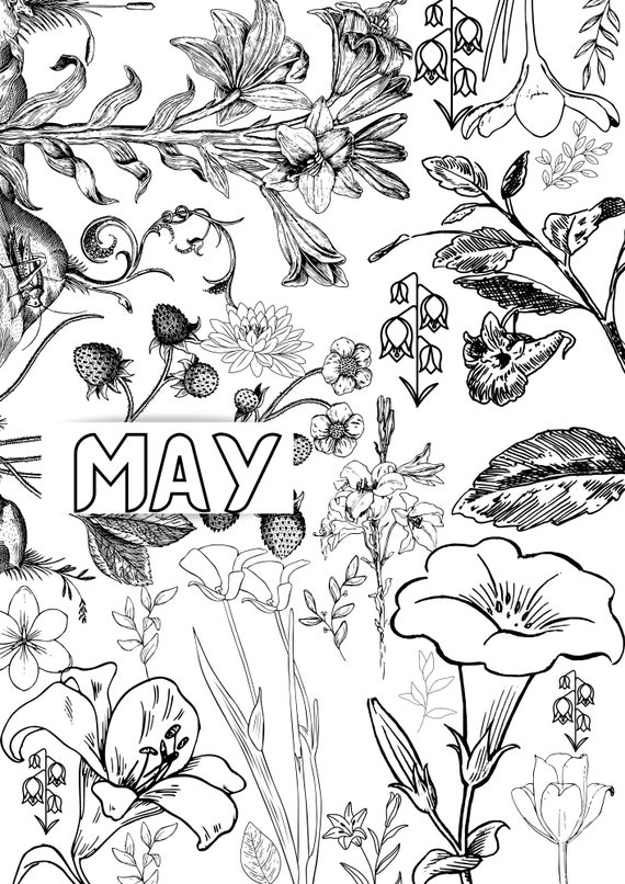 Mayflower Flower Coloring Page