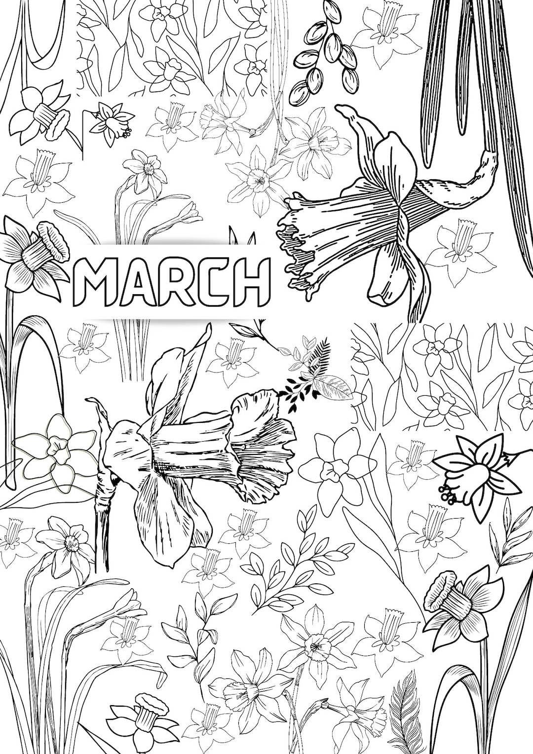 March Birth Flower Coloring Page Printable Coloring Page - Etsy UK