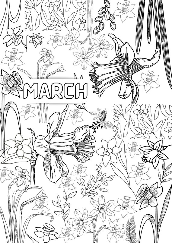 March Birth Flower Coloring Page Printable Coloring Page | Etsy UK