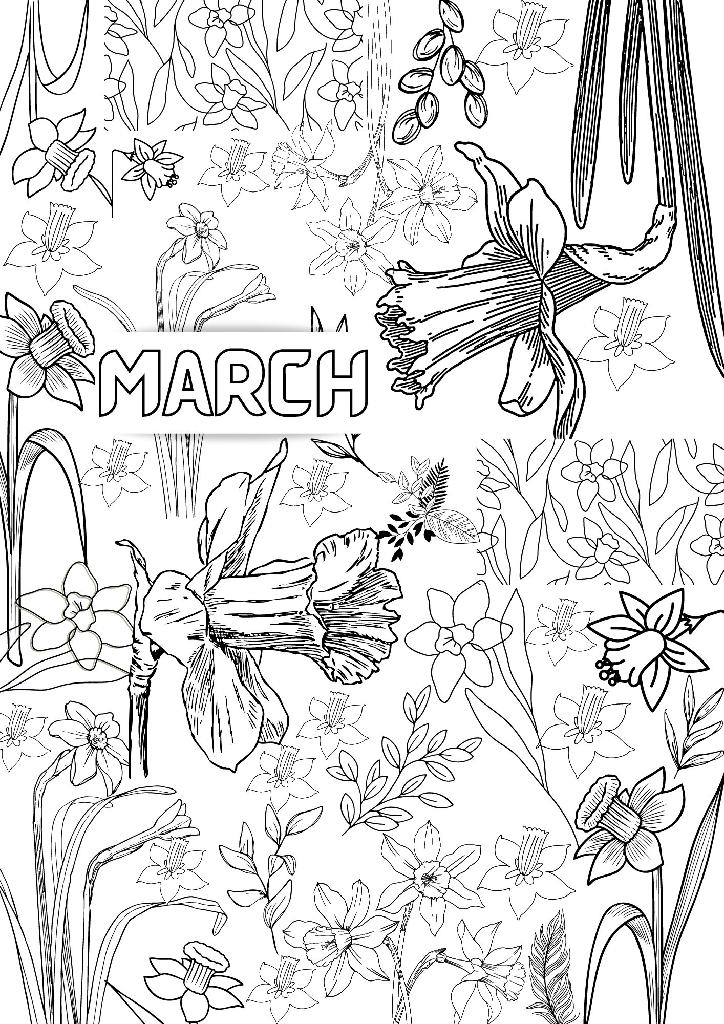 March Birth Flower Coloring Page Printable Coloring Page - Etsy UK