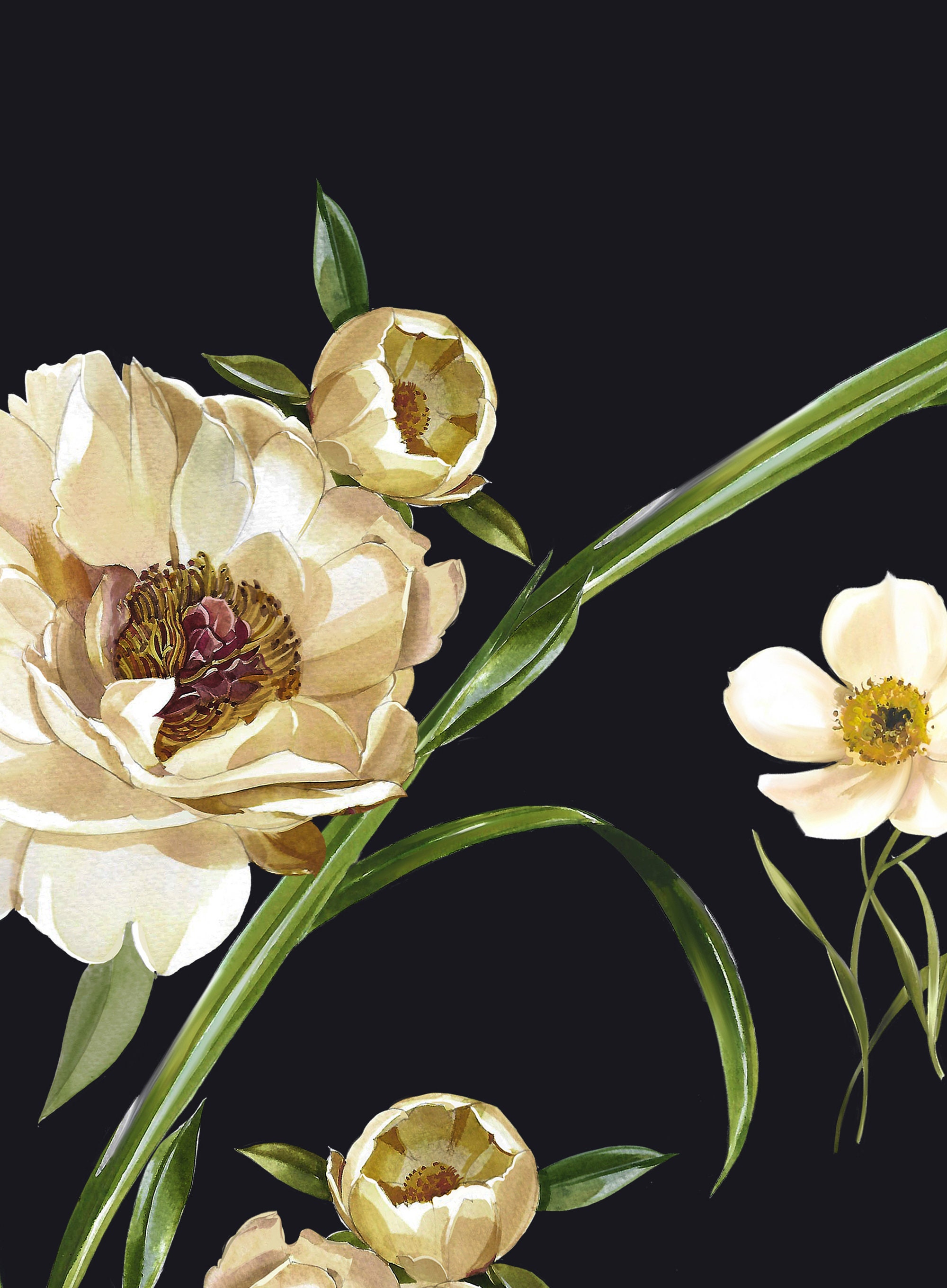 Botanical Garden Postcards Pack - Etsy