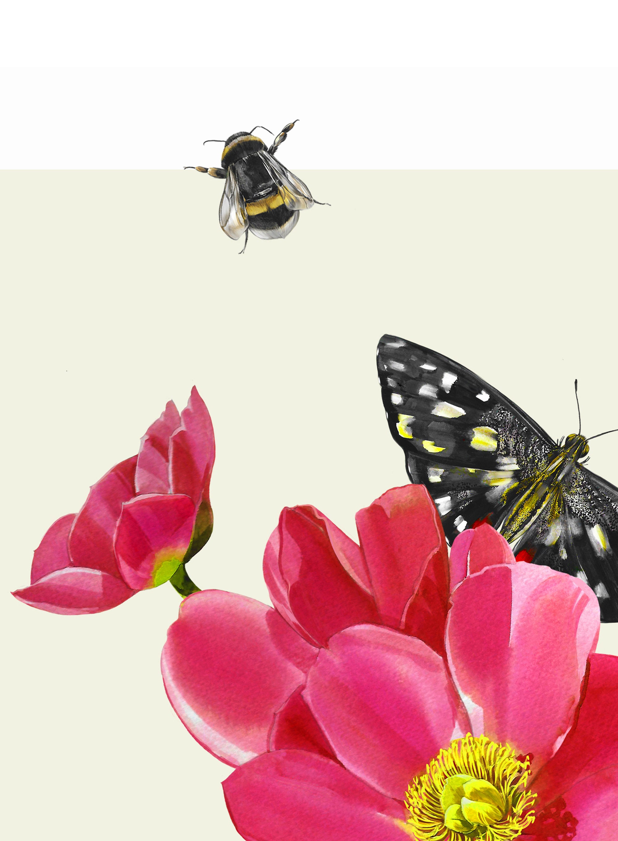 Botanical Garden Postcards Pack - Etsy