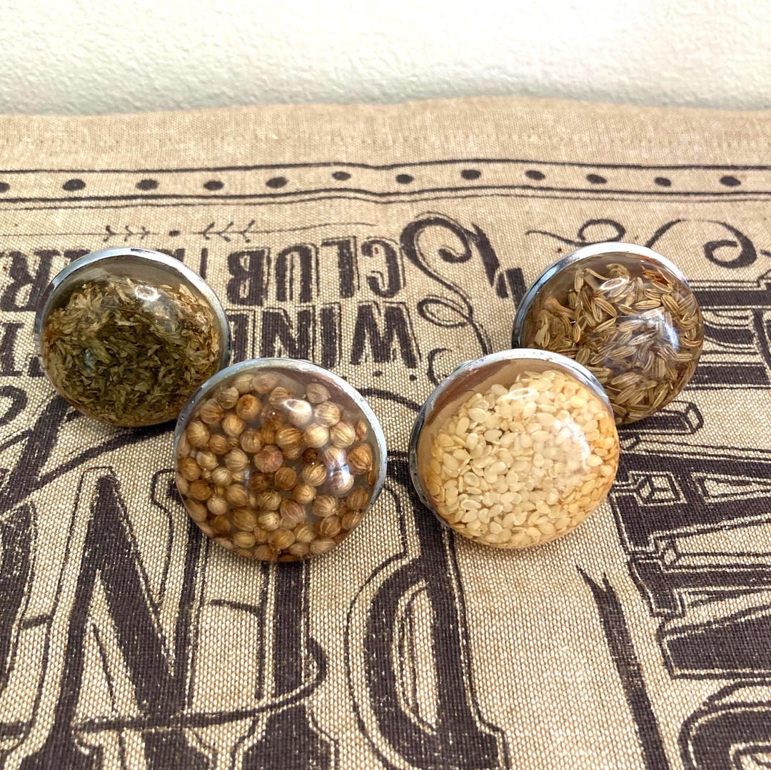 Vintage 1950s Lucite Suspended Seed Cabinet Hardware Knobs - Authentic ...