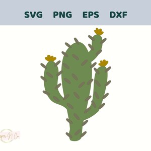 Cactus SVG, Succulent Png, Instant Download, Layered Svg, Cactus Png ...