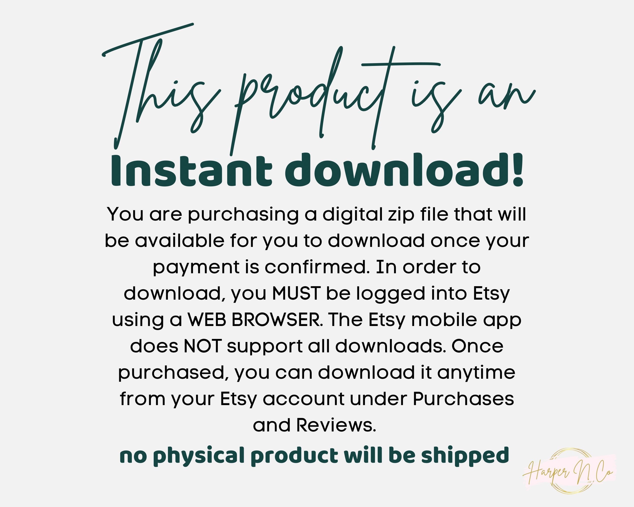 Pool Float SVG Bundle, Summer Beach Toys, Flamingo, Rubber Ducky, Life ...