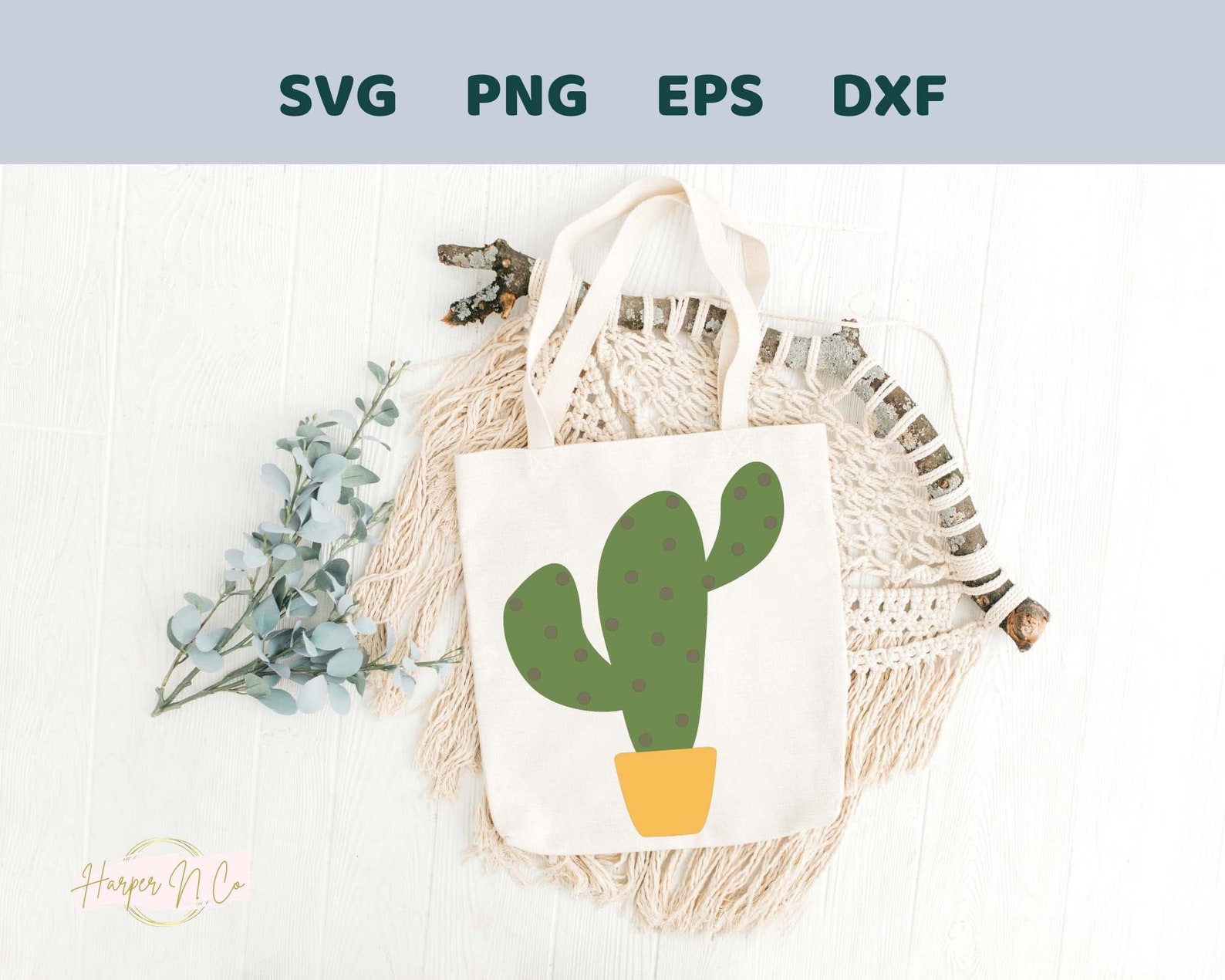 Cactus SVG, Succulent Png, Instant Download, Layered Svg, Cactus Png ...