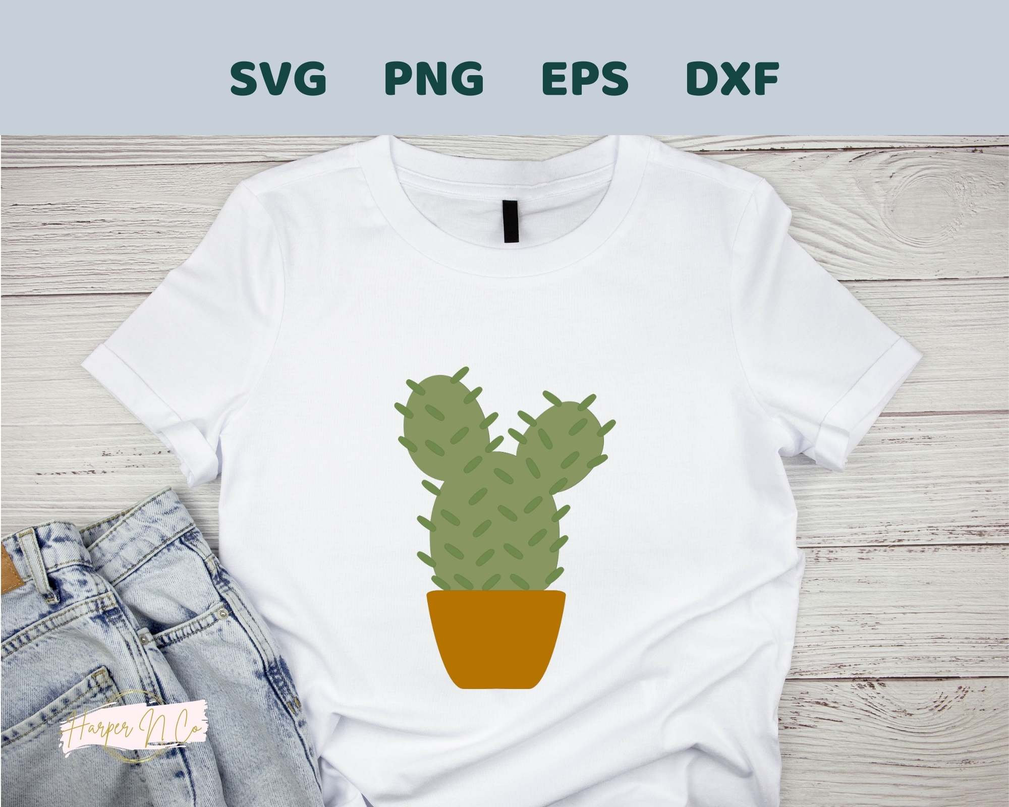 Cactus SVG, Succulent Png, Instant Download, Layered Svg, Cactus Png ...