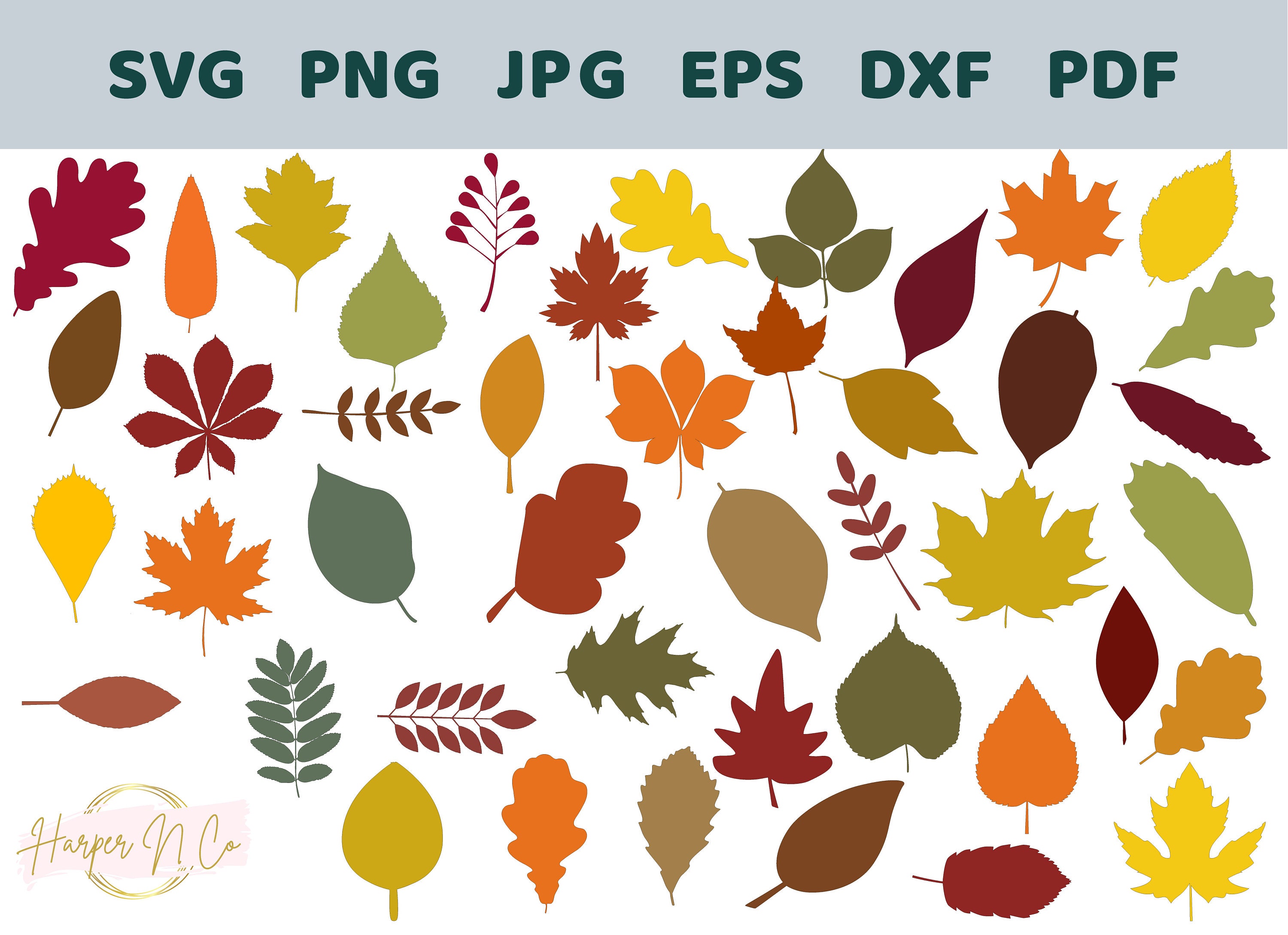 Solid Fall Leaves SVG, Sublimation, Cricut Silhouette Cut Files PNG PDF ...