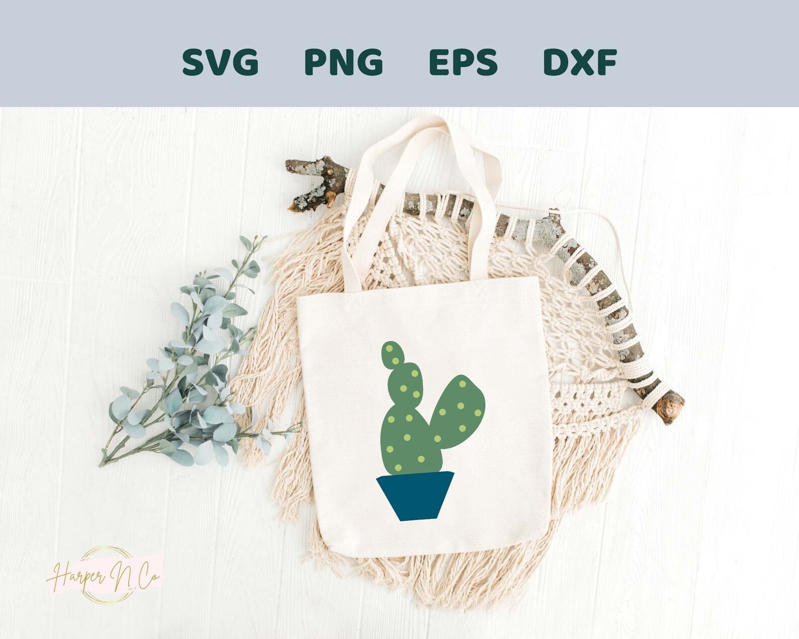 Cactus SVG, Succulent Png, Instant Download, Layered Svg, Cactus Png ...