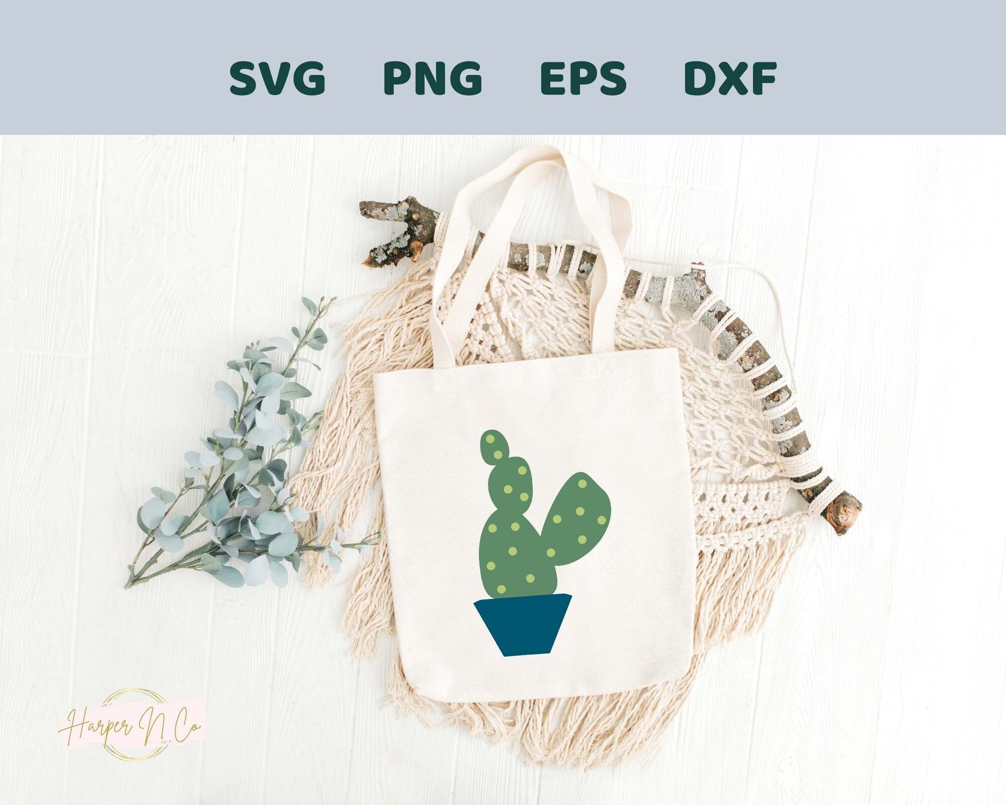 Cactus SVG, Succulent Png, Instant Download, Layered Svg, Cactus Png ...