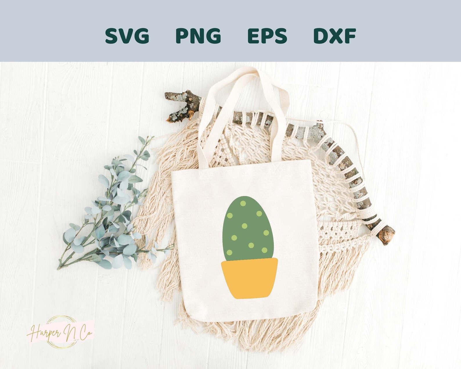 Cactus SVG, Succulent Png, Instant Download, Layered Svg, Cactus Png ...