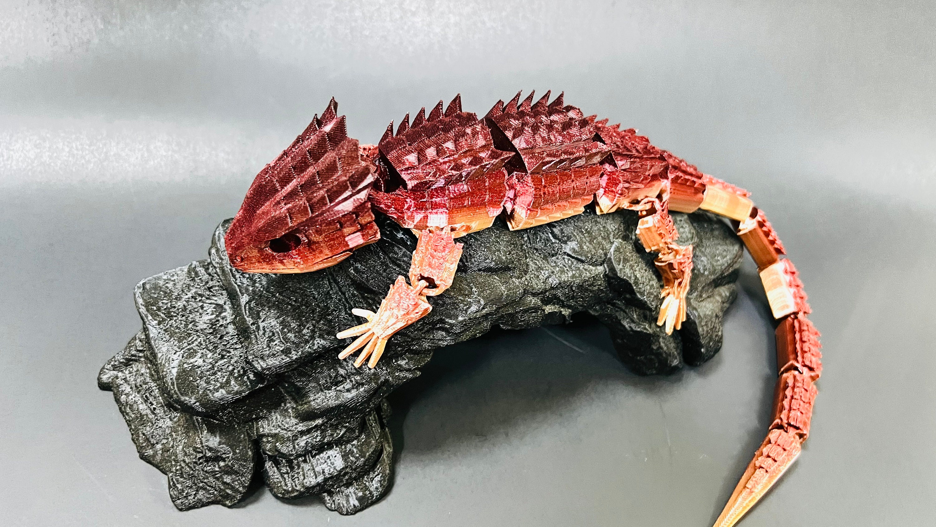 Red Eyed Crocodile Skink