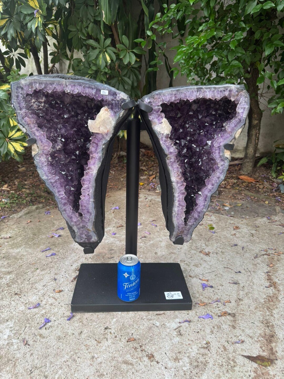 25 Amethyst BUTTERFLY/ ANGEL Wings Crystal Geode Pair - Etsy