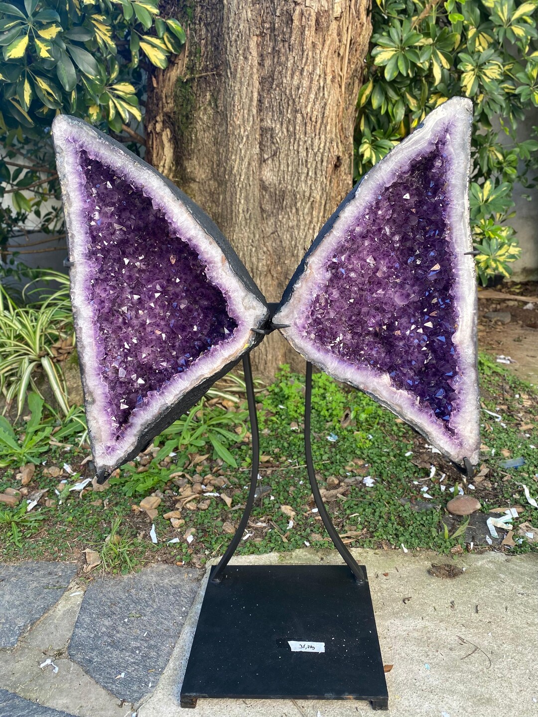 31 Tall Amethyst BUTTERFLY/ ANGEL WINGS Crystal Pair cathedral/ Geode ...