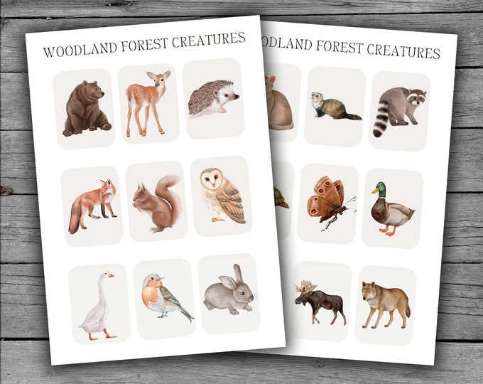 Matching Card Game, Memory Game, Educational Activities, Kids Activity ...