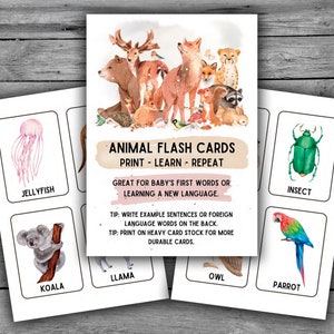 80 Animal Flashcards for Kids and Toddlers Printable Cards for ...