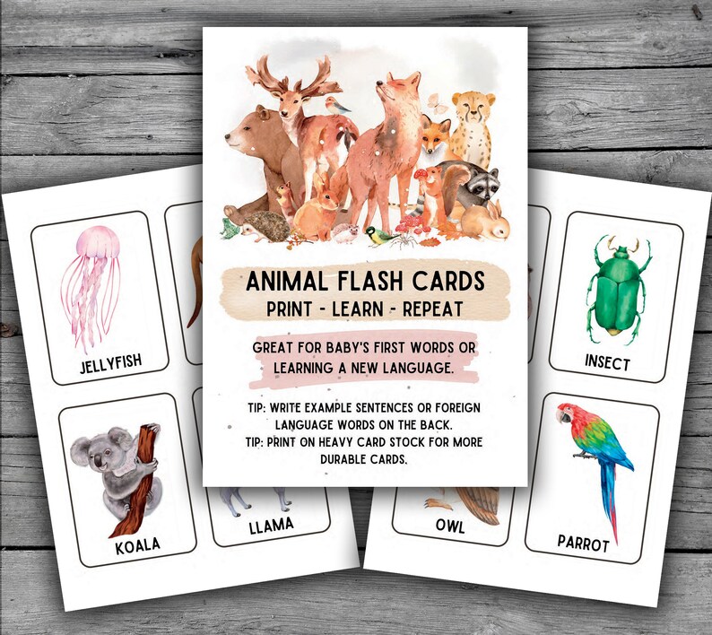 80 Animal Flashcards for Kids and Toddlers Printable Cards for ...