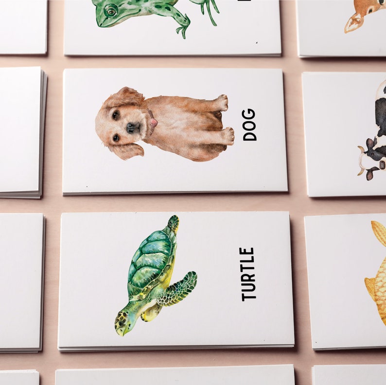 80 Animal Flashcards for Kids and Toddlers Printable Cards for ...