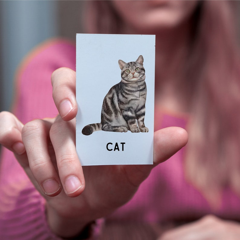 80 Animal Flashcards for Kids and Toddlers Printable Cards for ...