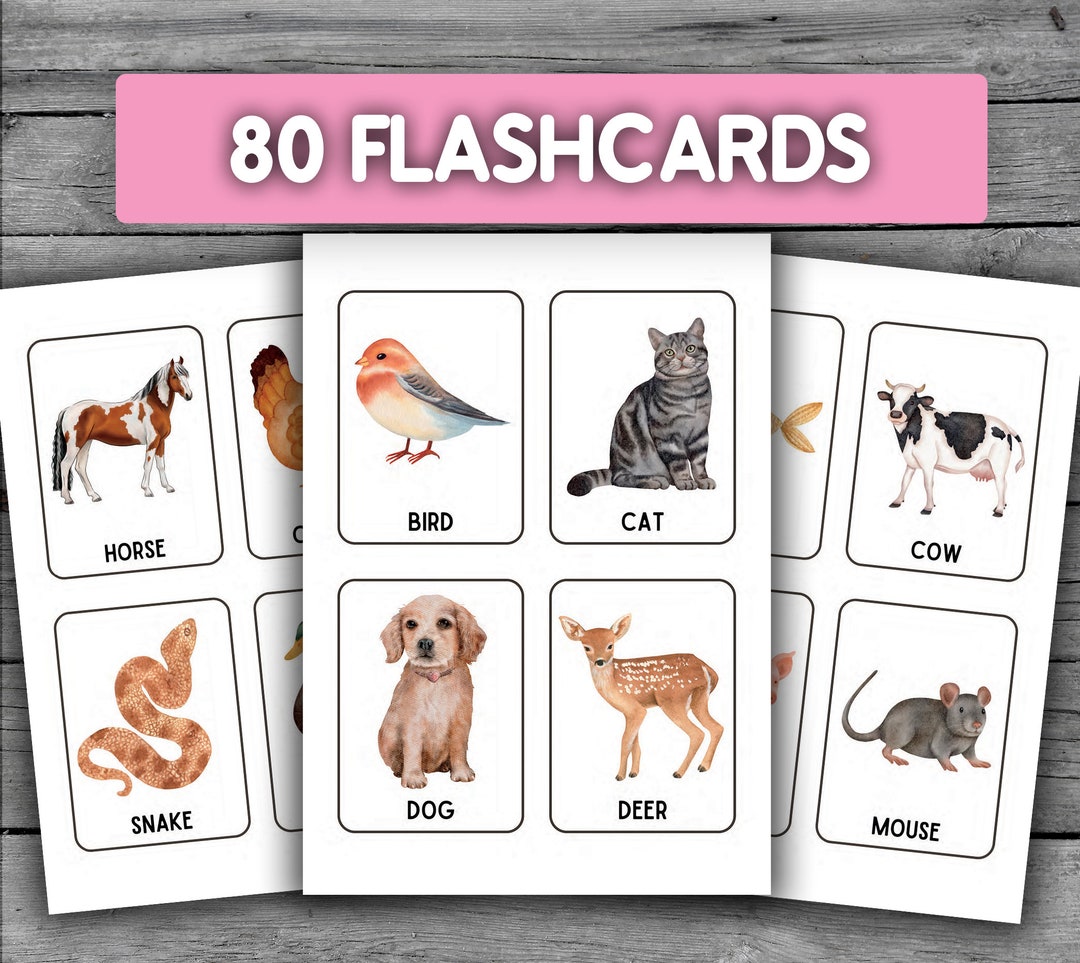 80 Animal Flashcards for Kids and Toddlers Printable Cards for ...
