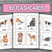80 Animal Flashcards for Kids and Toddlers Printable Cards for ...