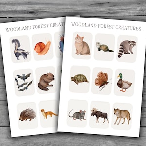 27 Printable Memory Card Game for Kids Watercolor Forest Animal ...
