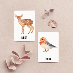 80 Animal Flashcards for Kids and Toddlers Printable Cards for ...