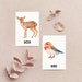 80 Animal Flashcards for Kids and Toddlers Printable Cards for ...