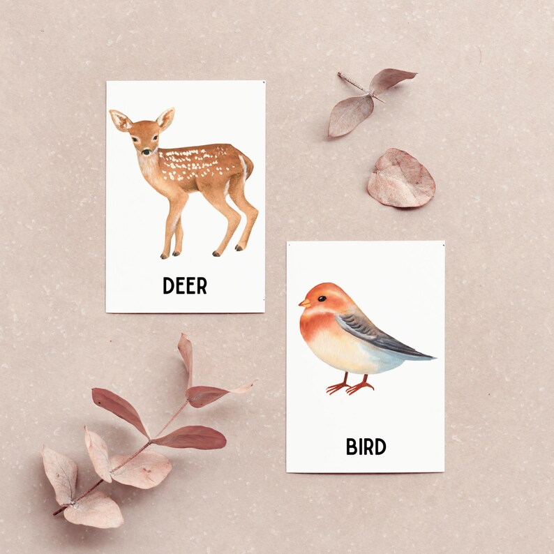 80 Animal Flashcards for Kids and Toddlers Printable Cards for ...