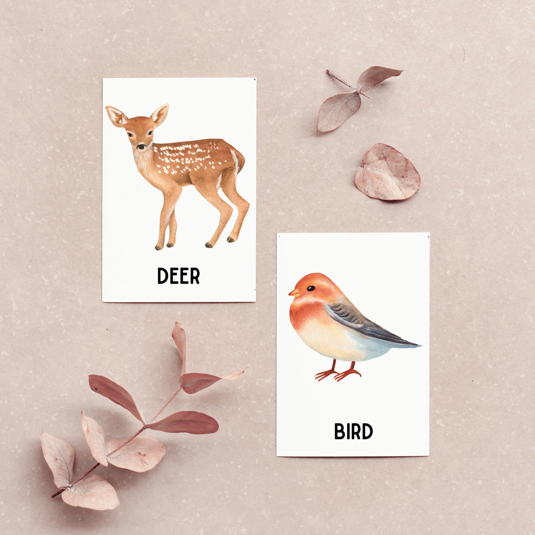 80 Animal Flashcards for Kids and Toddlers Printable Cards for ...