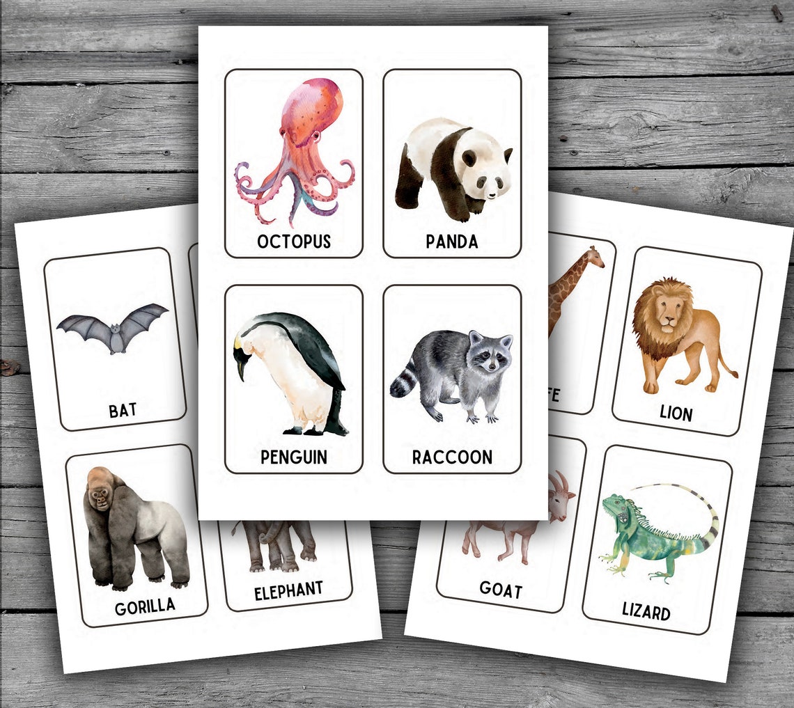 80 Animal Flashcards for Kids and Toddlers Printable Cards for ...