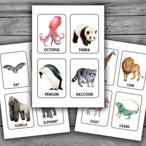 80 Animal Flashcards for Kids and Toddlers Printable Cards for ...