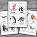 80 Animal Flashcards for Kids and Toddlers Printable Cards for ...